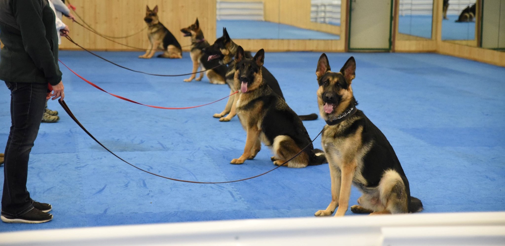 GSDC of Mpls & St. Paul | Home